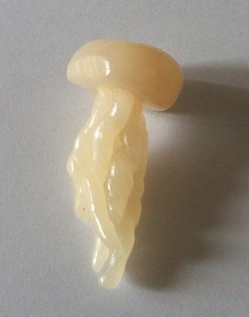 Polymer clay transparent Jellyfish / Medusa in fimo trasparente - P ...