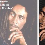 Schema peyote per bracciale "Bob Marley" - Libri schemi e corsi - S... | su MissHobby