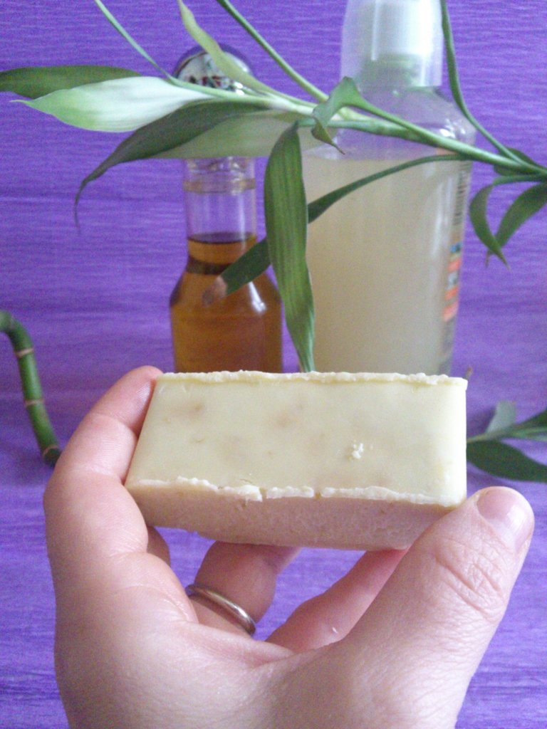 Sapone all'aloe vera e olio di oliva, naturale al 100% delicato sul ... Sapone all'aloe vera e olio di oliva, naturale al 100% delicato sul ...