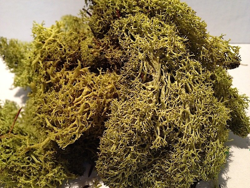 Muschio sintetico color verde chiaro 45 gr - Materiali - Per il fai ...